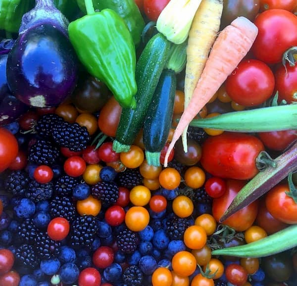 【MY STORY】Michael Keida, An Active American Who Runs Own Organic Farm ...